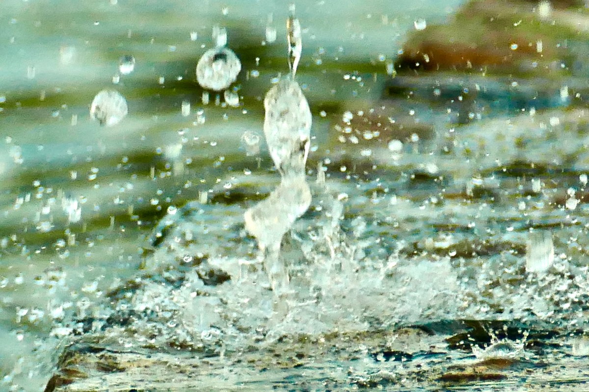 L'odeur de la terre après la pluie : le parfum de la terre