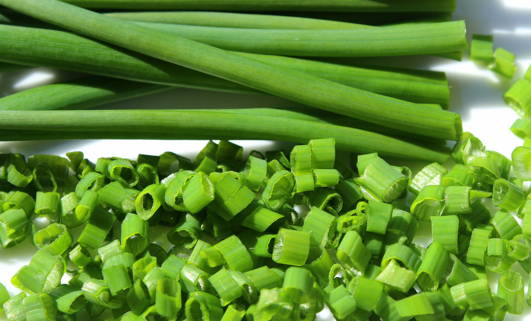 La Ciboulette sauvage, l'invitée surprise du jardin