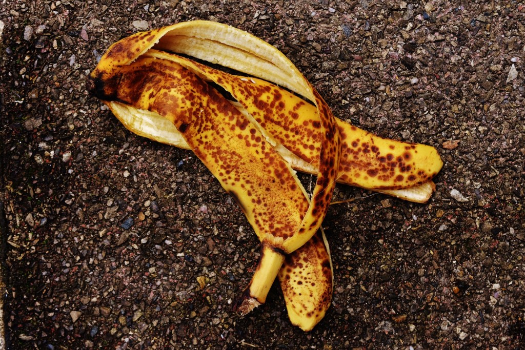 La décoction de banane, un engrais naturel pour vos plantes