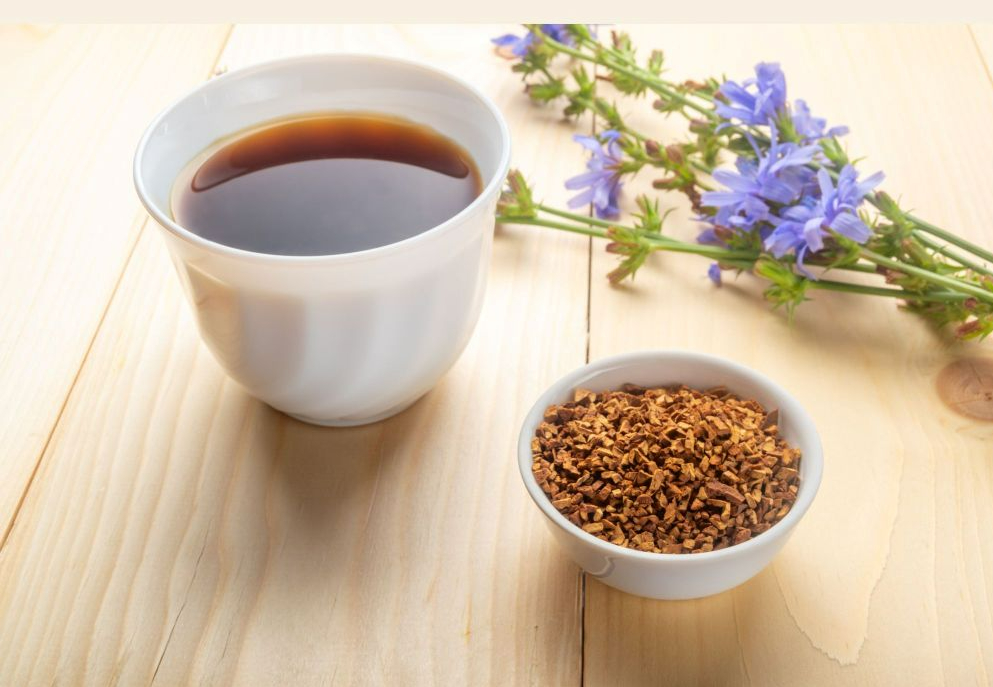 la chicorée : la plante qui envoie valser le café