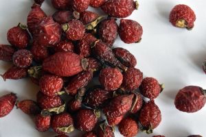 Cynorrhodon : le faux-fruit vitaminé de l’églantier