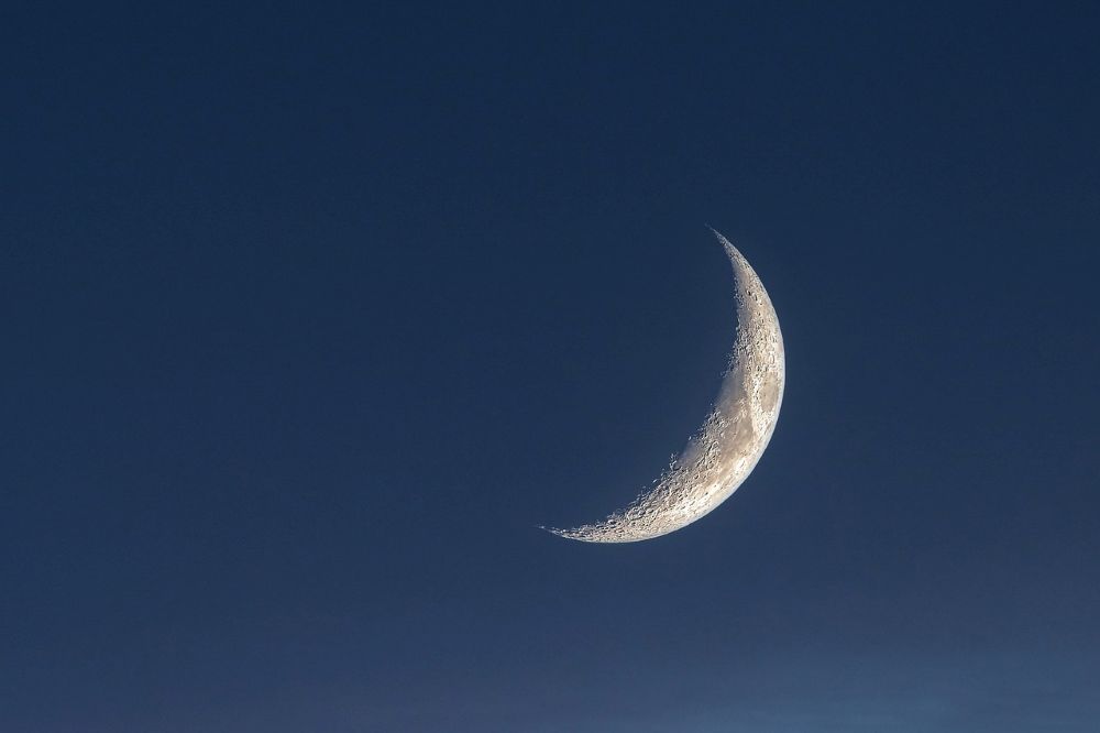 Jardiner avec la lune : suivez le guide pour un jardin au top